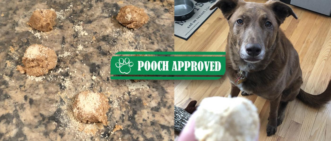 DIY Peanut Butter Truffles for Dogs Recipe | Wellness Pet Food Singapore